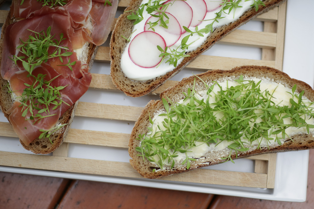 Krass, krasser, Kresse! | Neues aus Rikes Küchengärten